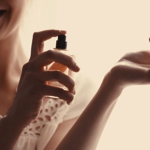 Fragrance Hub – fragrance Hub