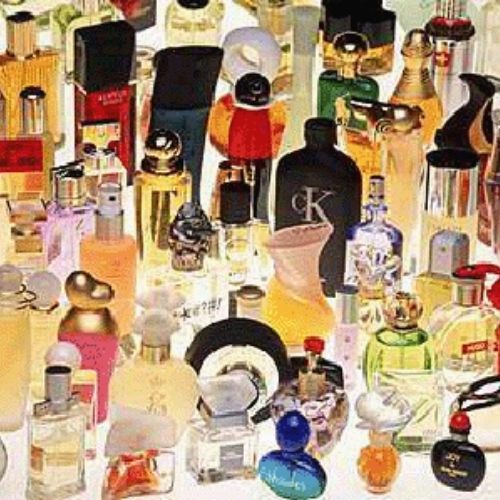 Fragrance Hub – fragrance Hub